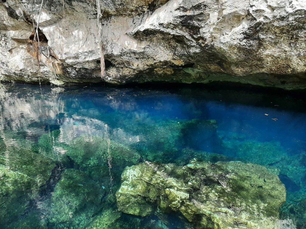 Cenotes de Quintana Roo para visitar en Semana Santa